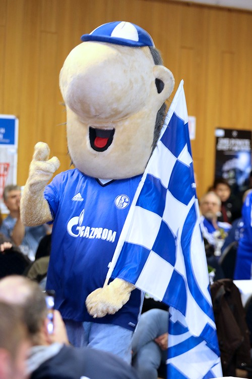 schalke-koblenz.de